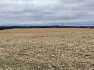 Land Resource Management and Realty – Grand Meadow, Minnesota